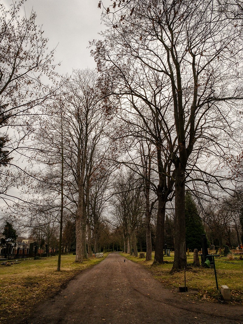 23.12.2019 - wege...